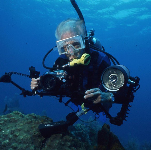 Featured Photographer: Don Sutherland – indahs: dive, travel & photography