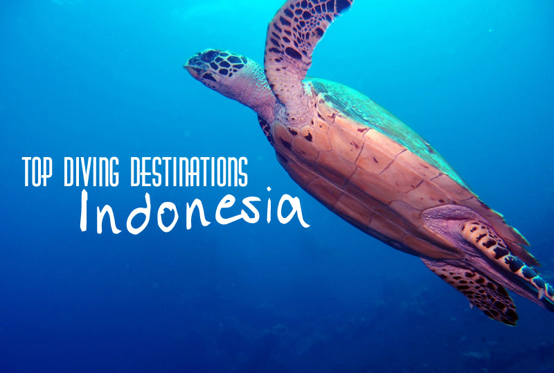 Top Diving Destinations in Indonesia – indahs: dive, travel & photography