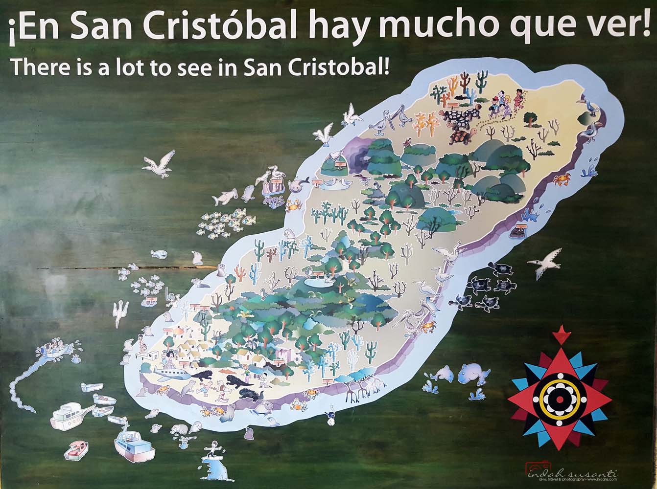 Things to do in San Cristobal (Galapagos) – indahs: dive, travel ...